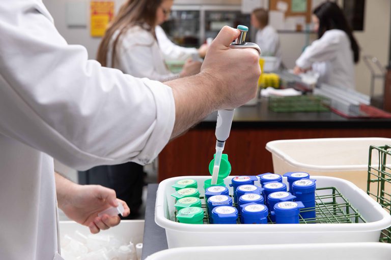 Bacteria Analysis at Eastern Laboratory Services